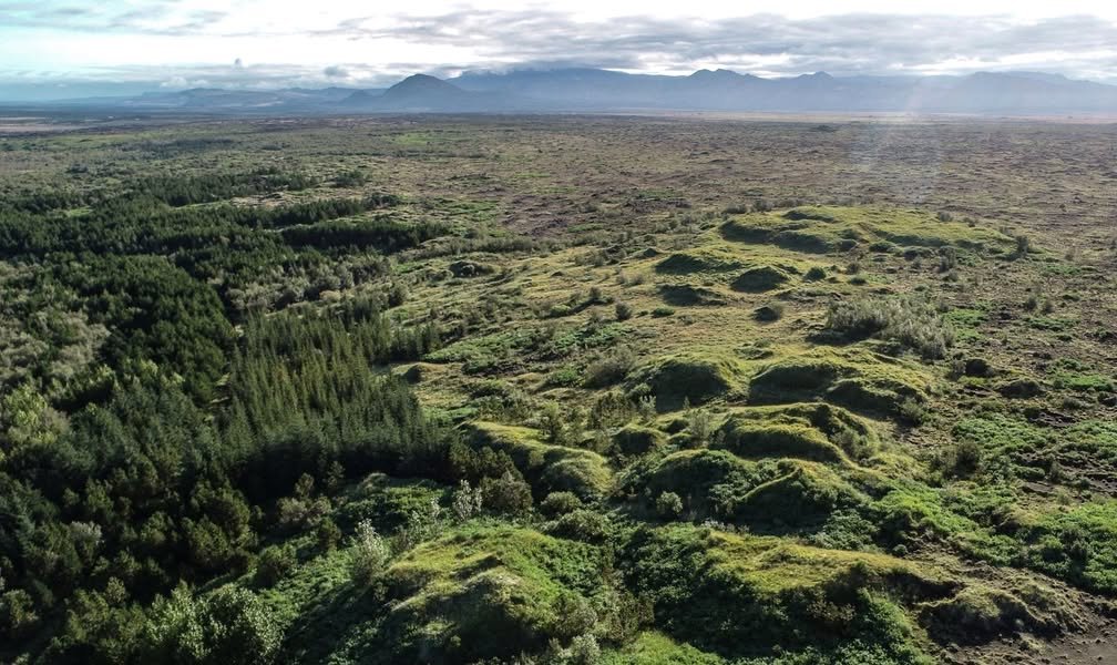 Bolholt I - Gamla Bolholt | Suðurlíf